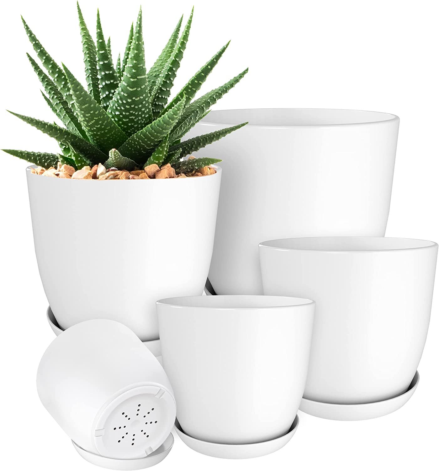10 Cool Cactus Planters to Spice Up Your Home Garden