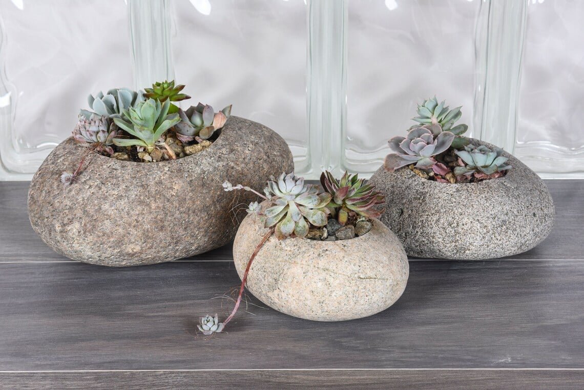 10 Cool Cactus Planters to Spice Up Your Home Garden