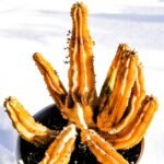 Can Cacti Recover From Freeze? A Comprehensive Guide To Reviving Frozen ...